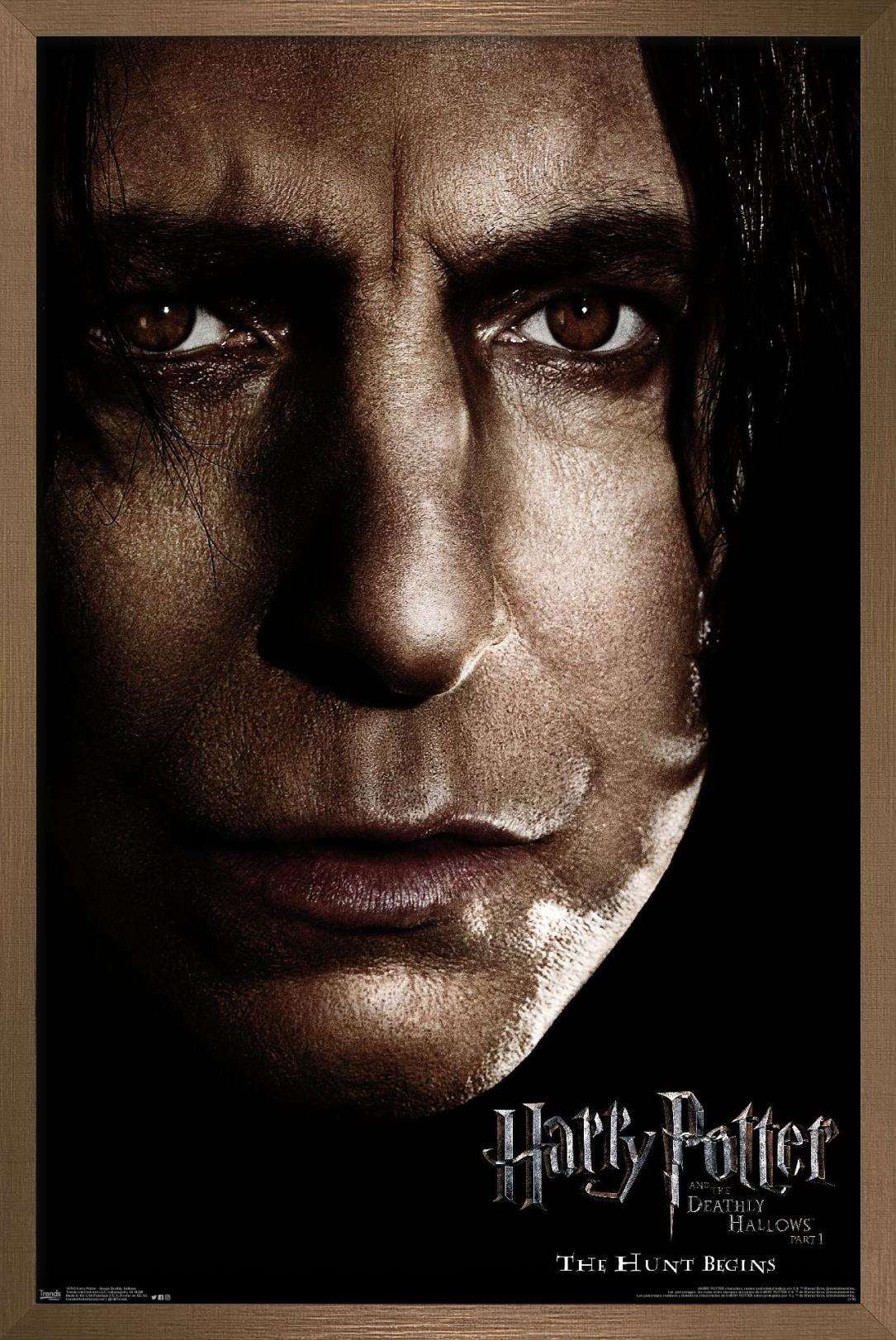Harry Potter and the Deathly Hallows: Part 1 - Snape One Sheet Wall ...