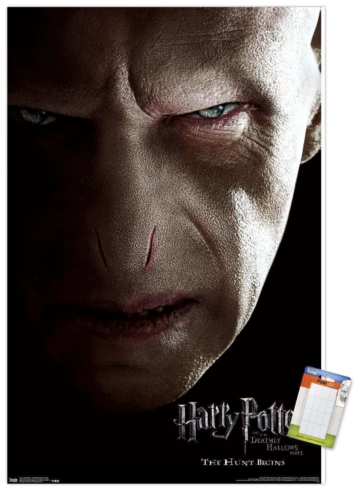 Harry Potter and the Deathly Hallows: Part 1 - Voldemort One Sheet Wall ...