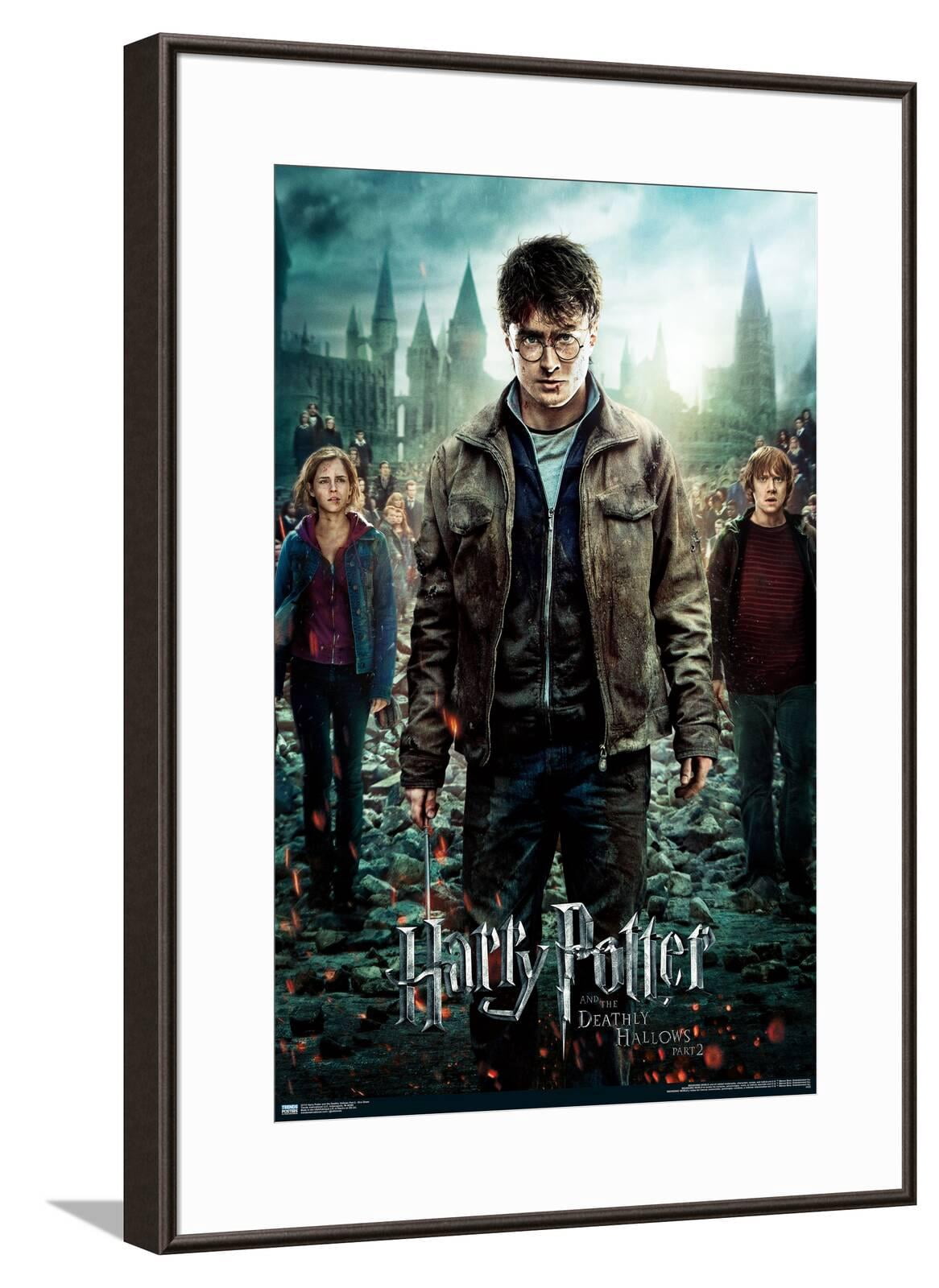 Harry Potter and the Deathly Hallows: Part 2 - One Sheet Canvas Wall ...