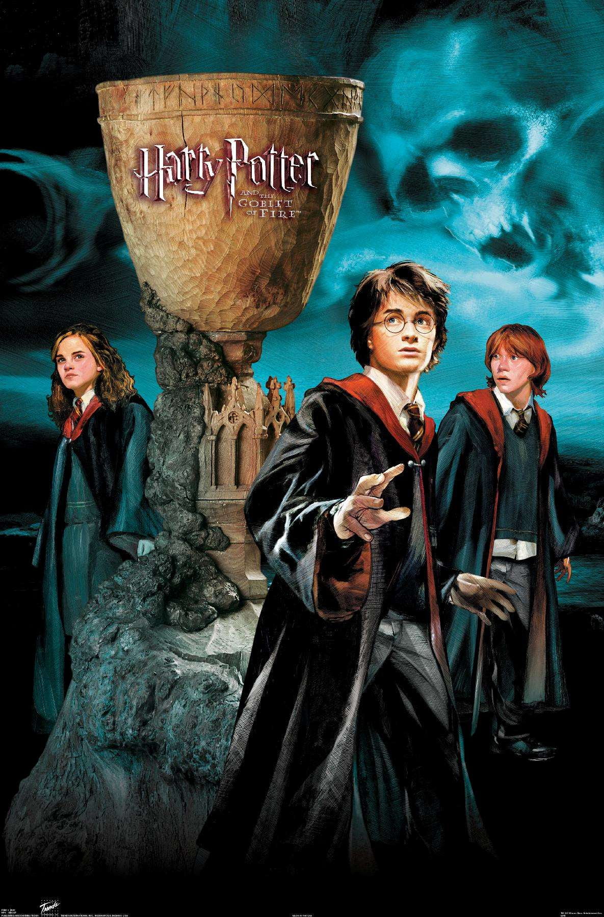 Harry Potter and the Goblet of Fire - Group Wall Poster, 14.725" x 22. ...