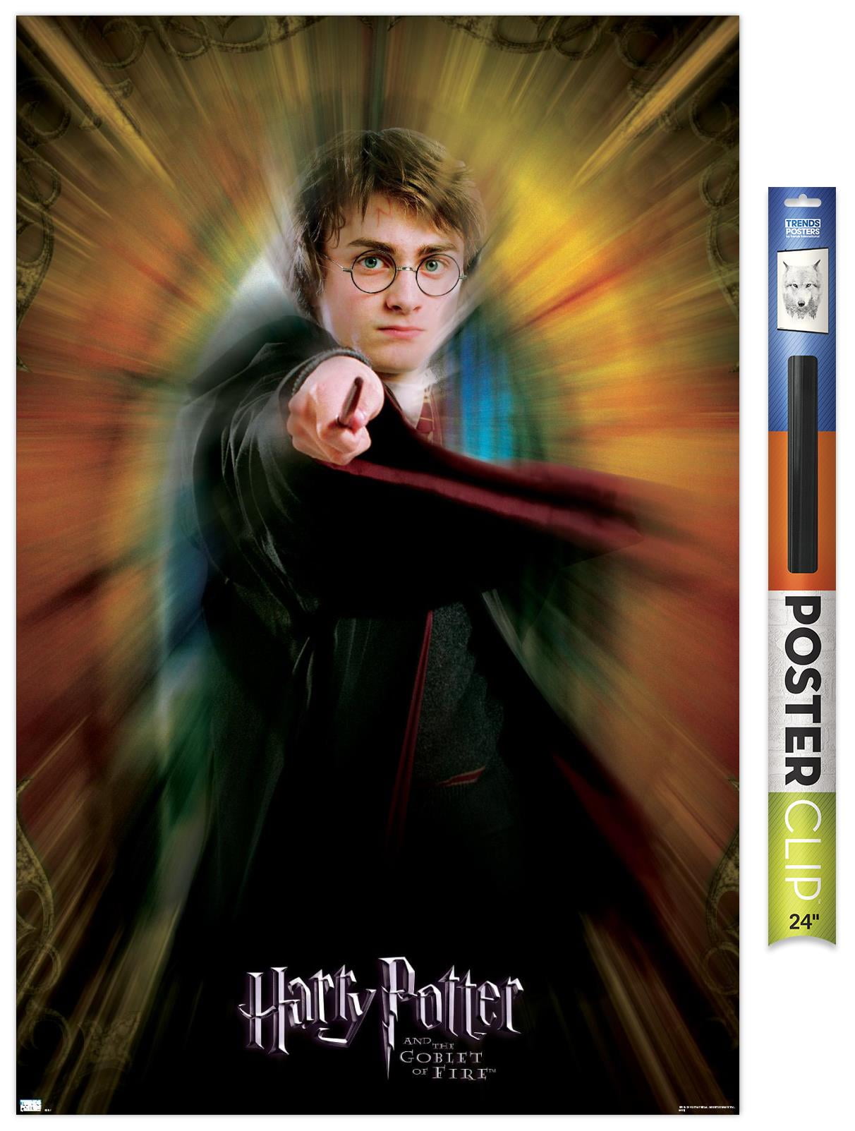 Harry Potter and the Goblet of Fire - Harry One Sheet Wall Poster, 22. ...