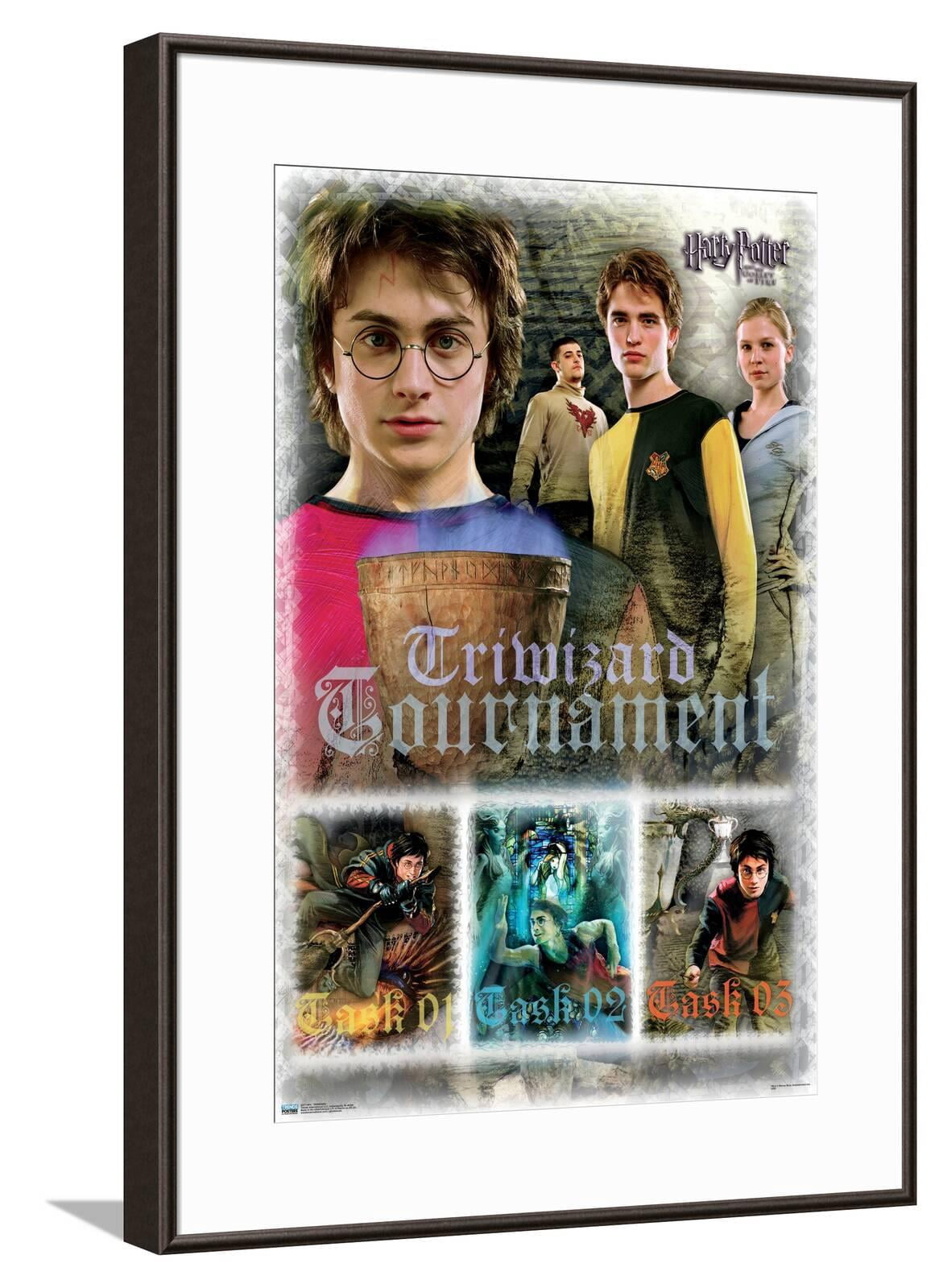 Harry Potter and the Goblet of Fire - Triwizard Tournament Canvas Wall ...