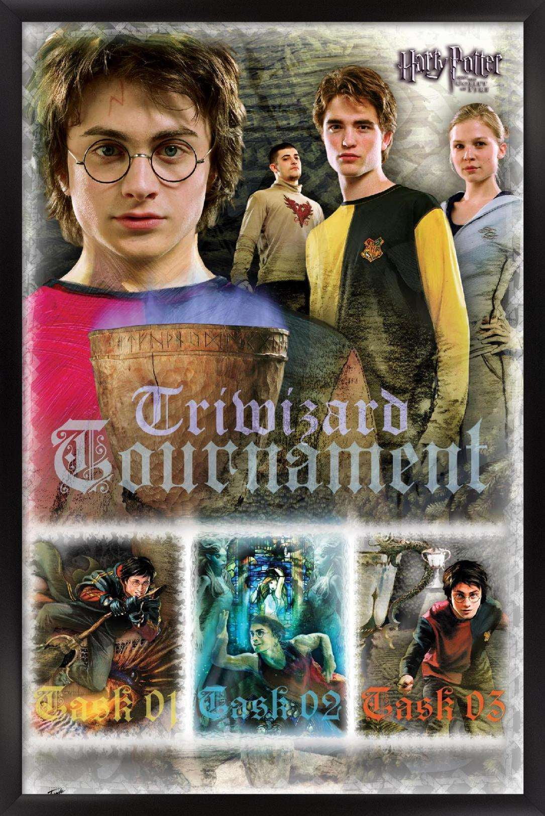 Harry Potter and the Goblet of Fire - Triwizard Tournament Wall Poster ...