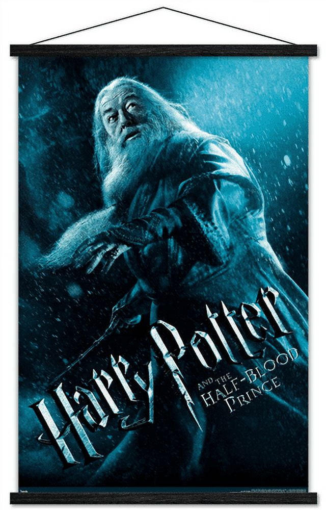 Harry Potter and the Half-Blood Prince - Dumbledore One Sheet Wall ...