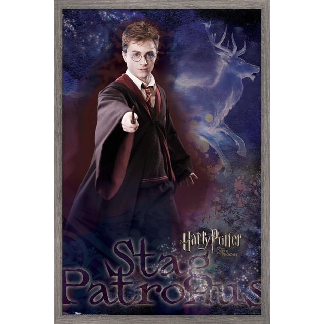 Harry Potter and the Order of the Phoenix - Patronus Wall Poster, 14. ...