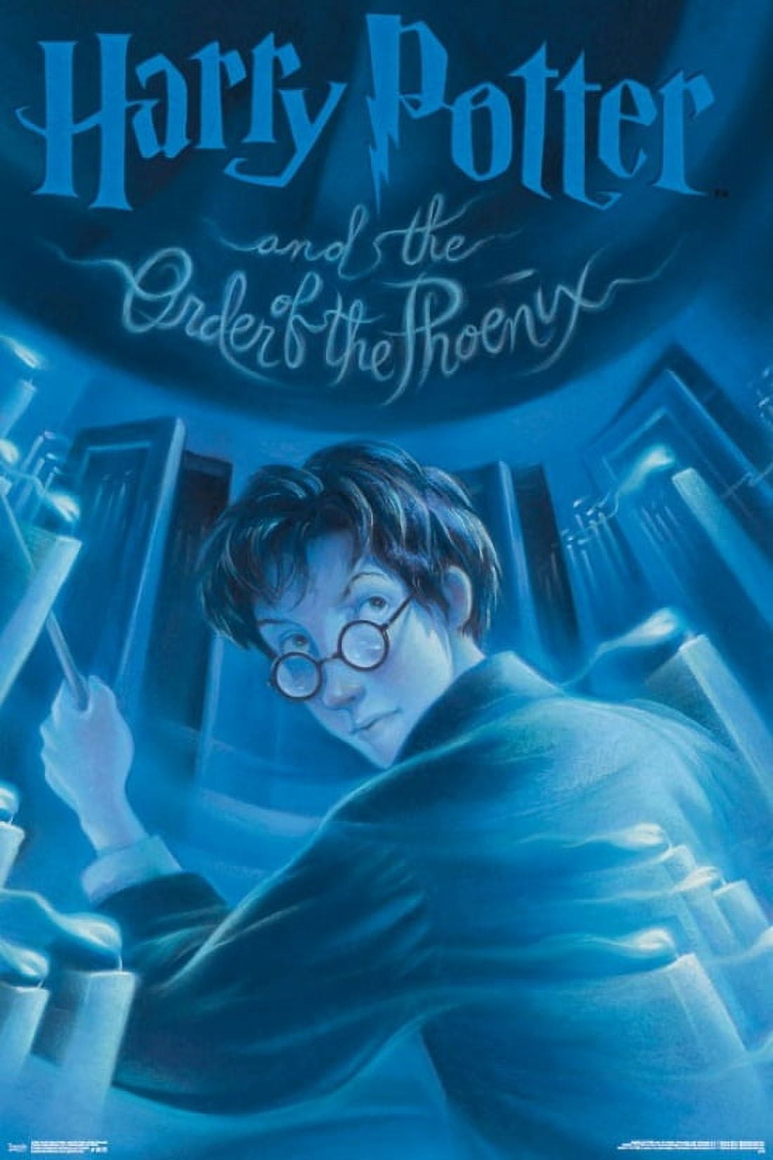 Harry Potter and the Order of the Phoenix Poster Print (24 x 36 ...