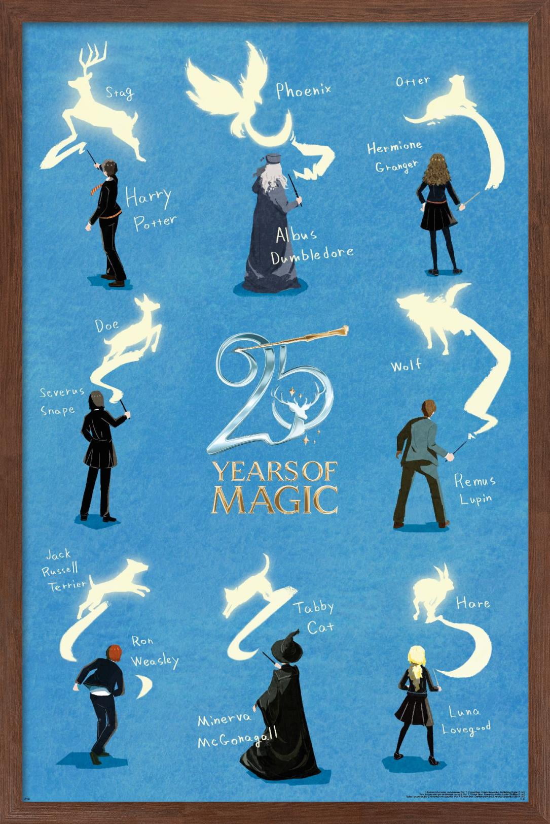 Harry Potter and the Sorcerer's Stone (2001) - 25 Years of Magic Wall ...