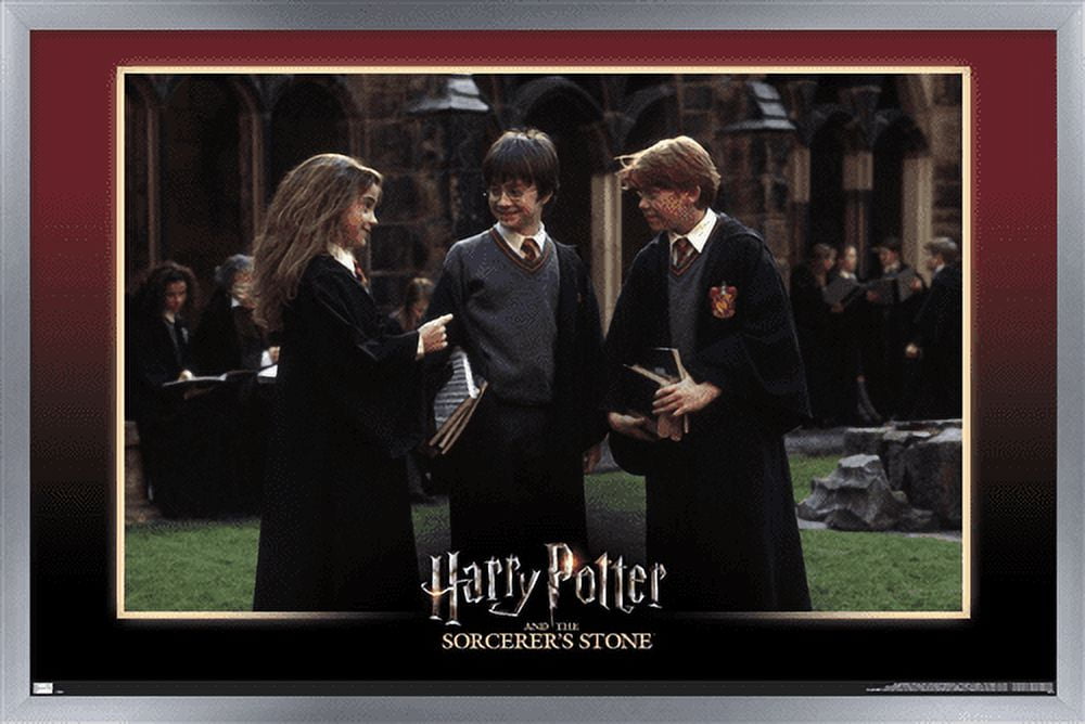 Harry Potter and the Sorcerer's Stone - Friends Wall Poster, 22.375" x ...