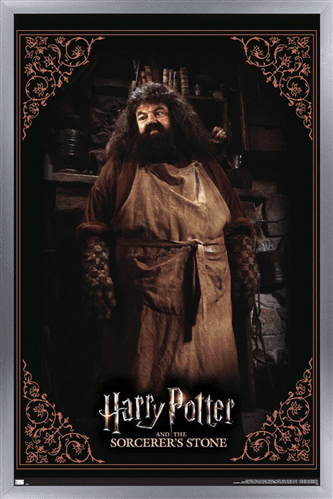 Harry Potter and the Sorcerer's Stone - Hagrid Cooking Wall Poster, 22. ...