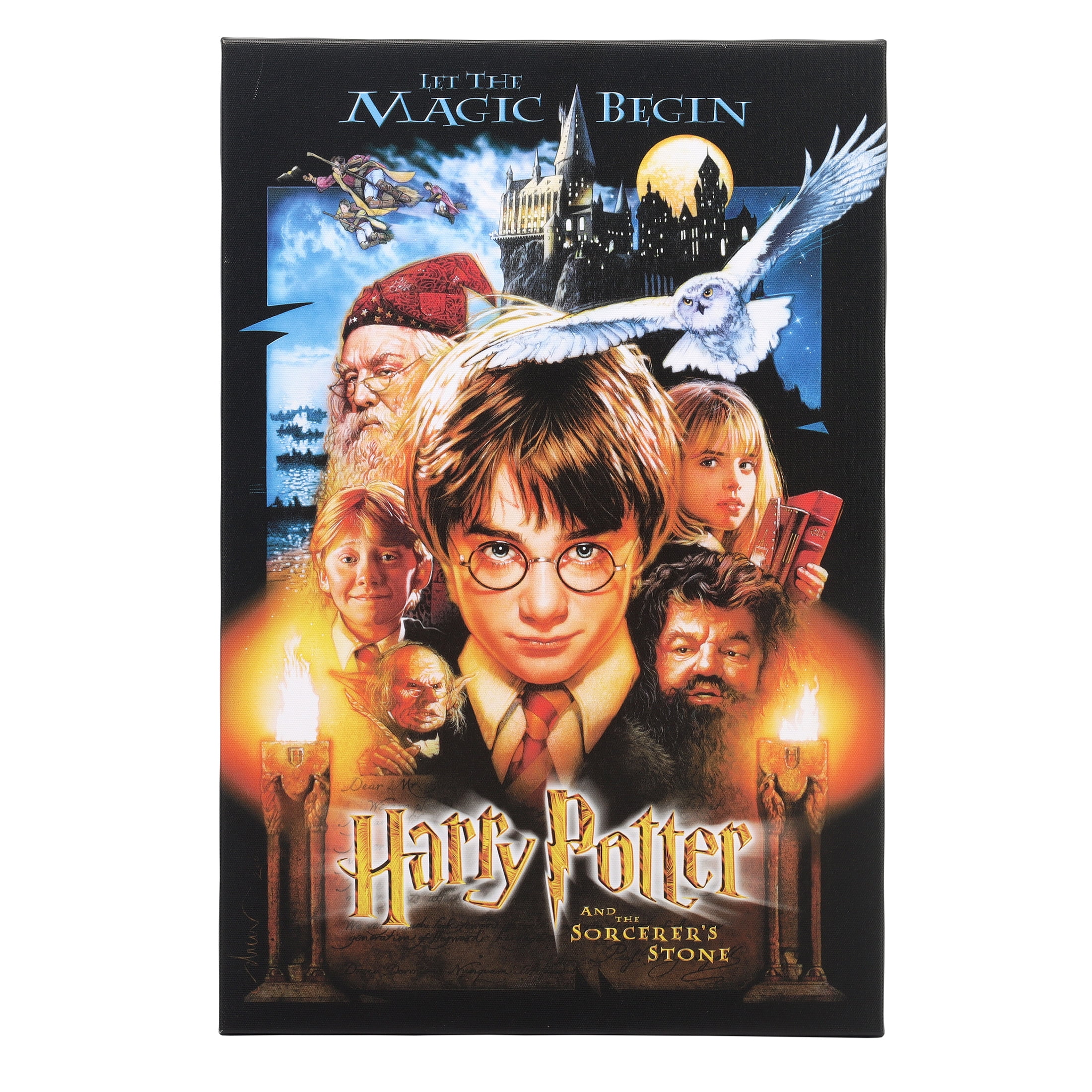 Harry Potter and the Sorcerer's Stone Movie Poster Wood Wall Decor for Man Cave, Movie Room, or ...
