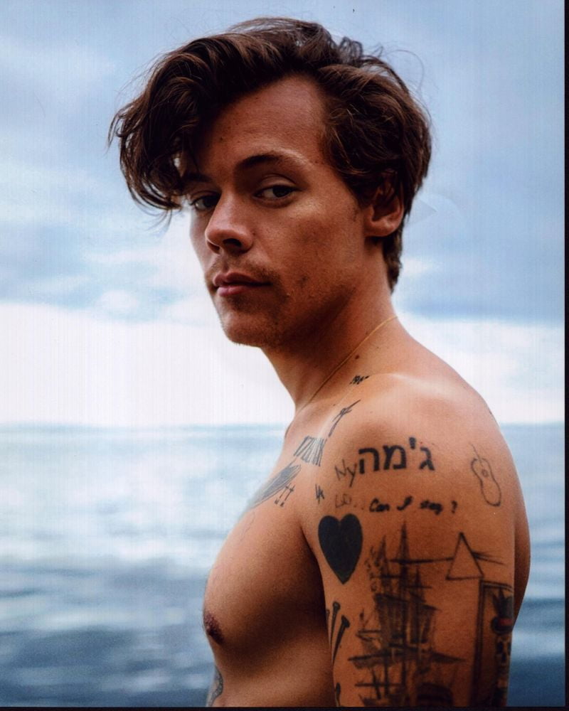 Harry Styles Shirtless Tattoos 2024