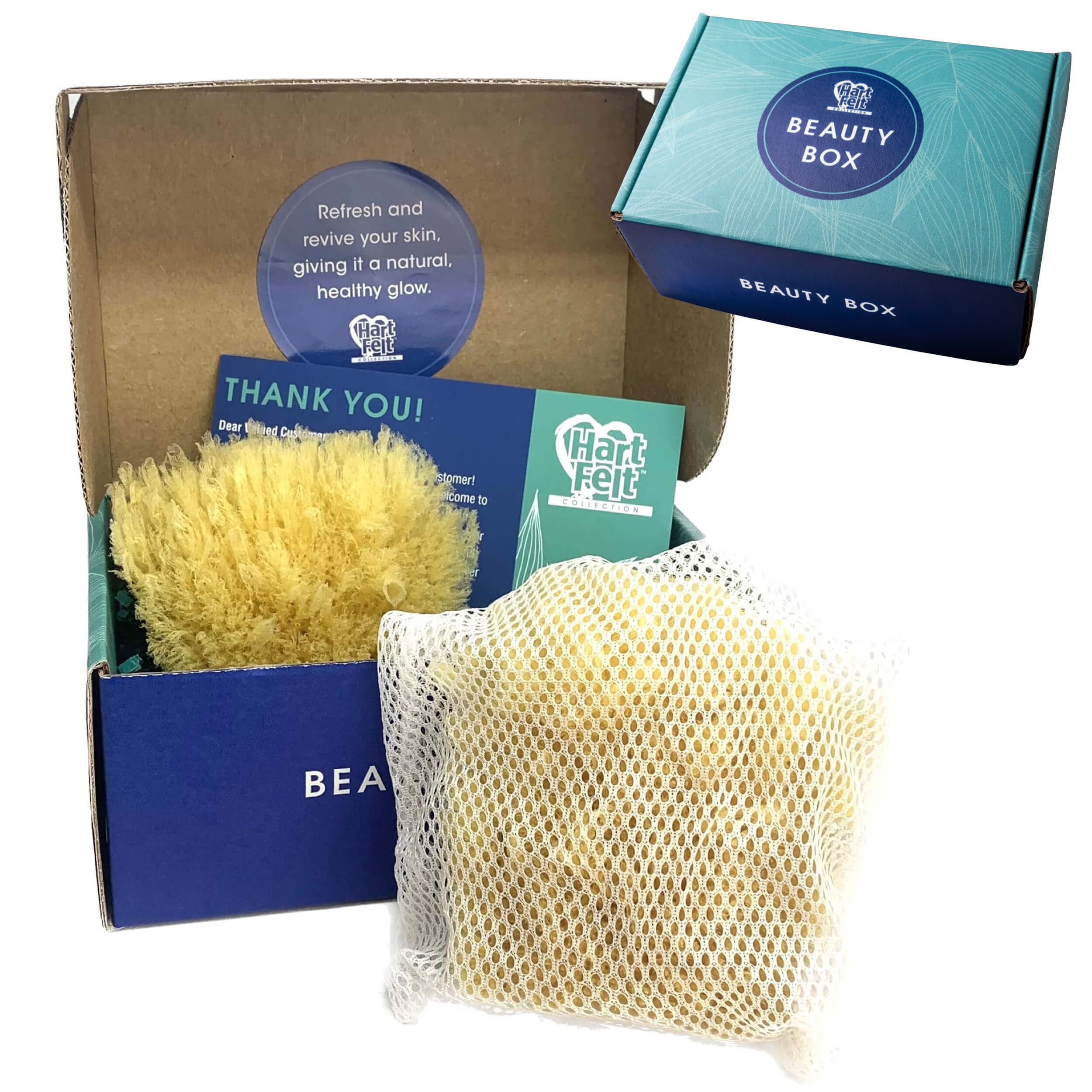 HartFelt Adult Sea Sponge Beauty Box, Gentle Exfoliation, 2 Yellow 4in ...