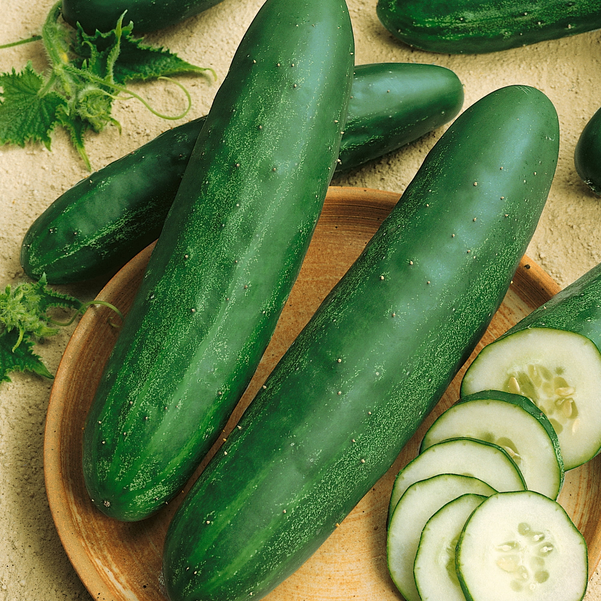 Hartley F1 Hybrid Cucumber Seeds - 4 Oz ~3800 Seeds - Non-GMO, F1 ...