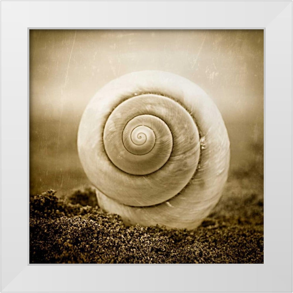 Hartson-Weddle, Ryan 26x26 White Modern Wood Framed Museum Art Print Titled - Cochlear III ...