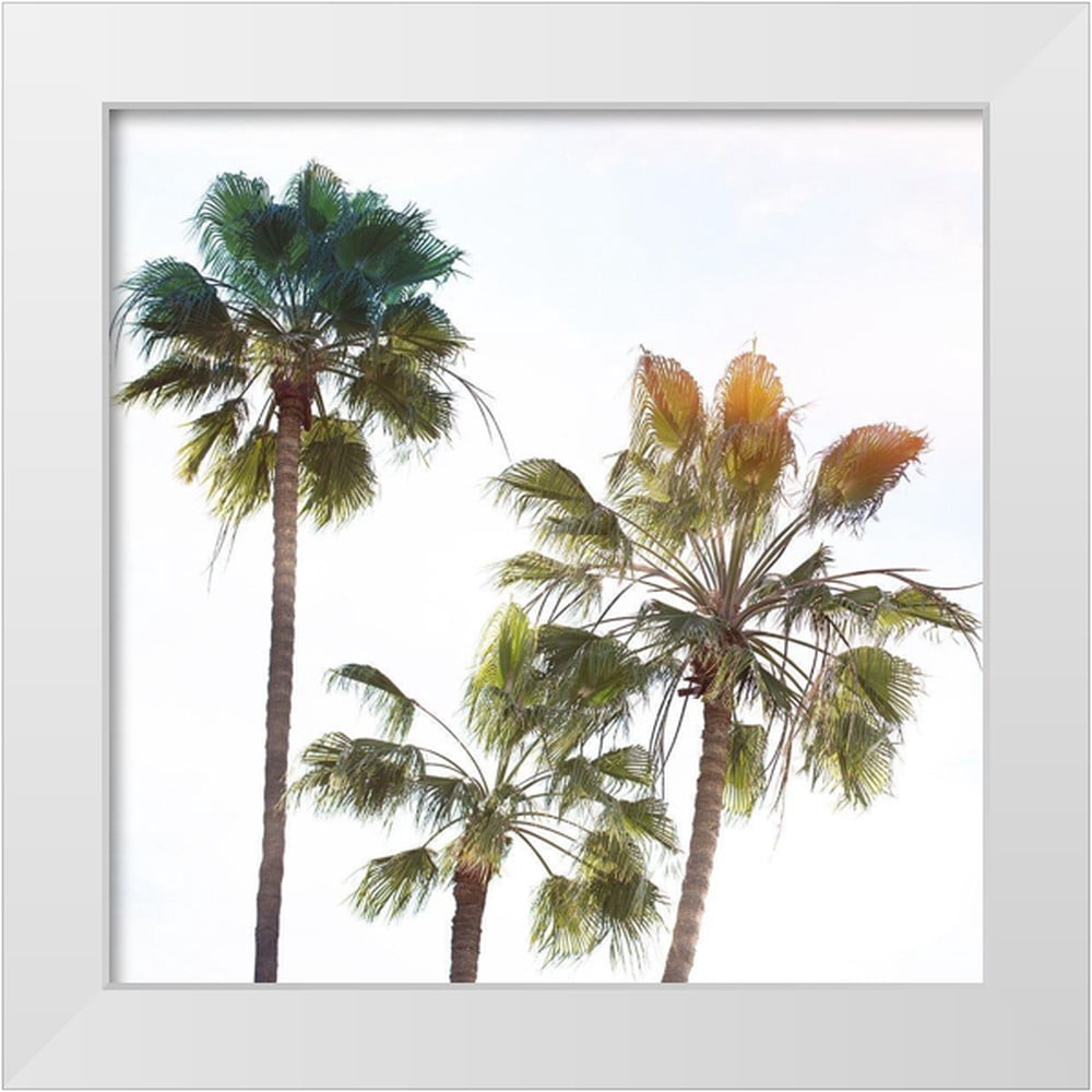 Hartson-Weddle, Ryan 26x26 White Modern Wood Framed Museum Art Print Titled - Palmetto III ...