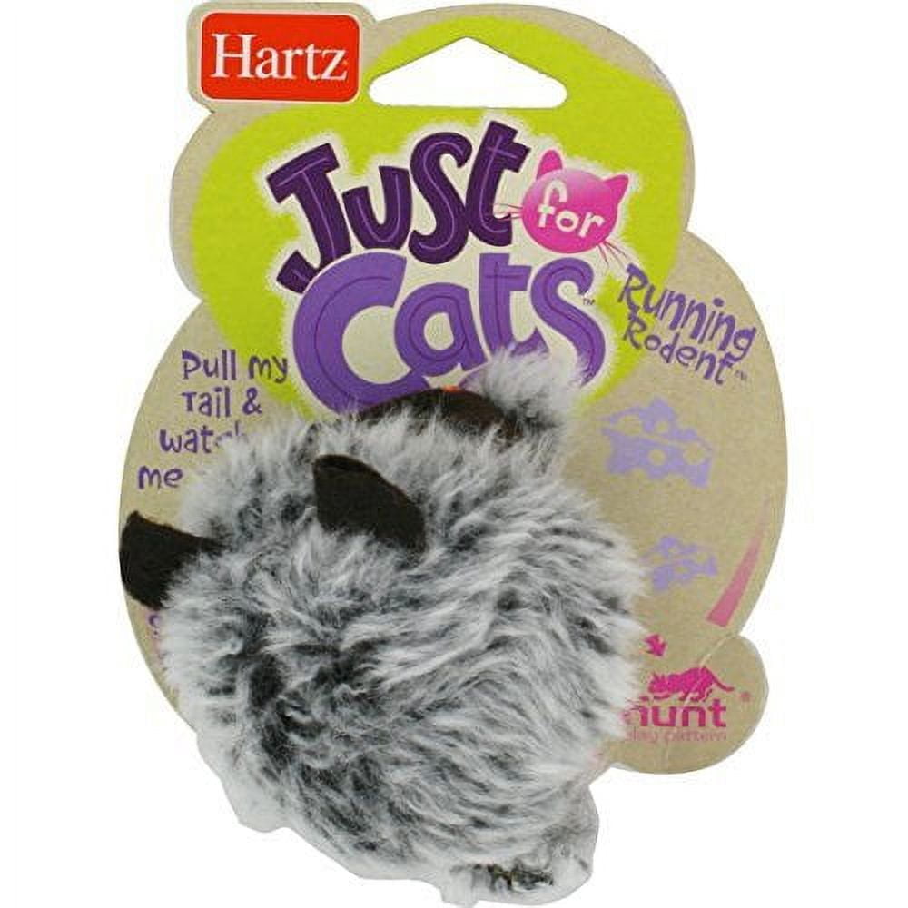 Hartz Running Rodent Cat Toy - Indoor Exercise and Play Mouse for ...