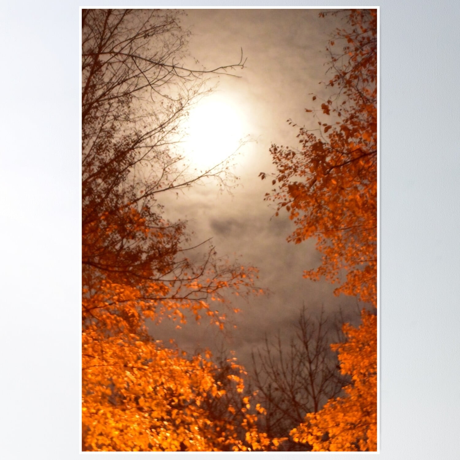 Harvest Moon Delight Poster Wall Art, Modern Wall Decor, 12x18 UNFRAMED ...