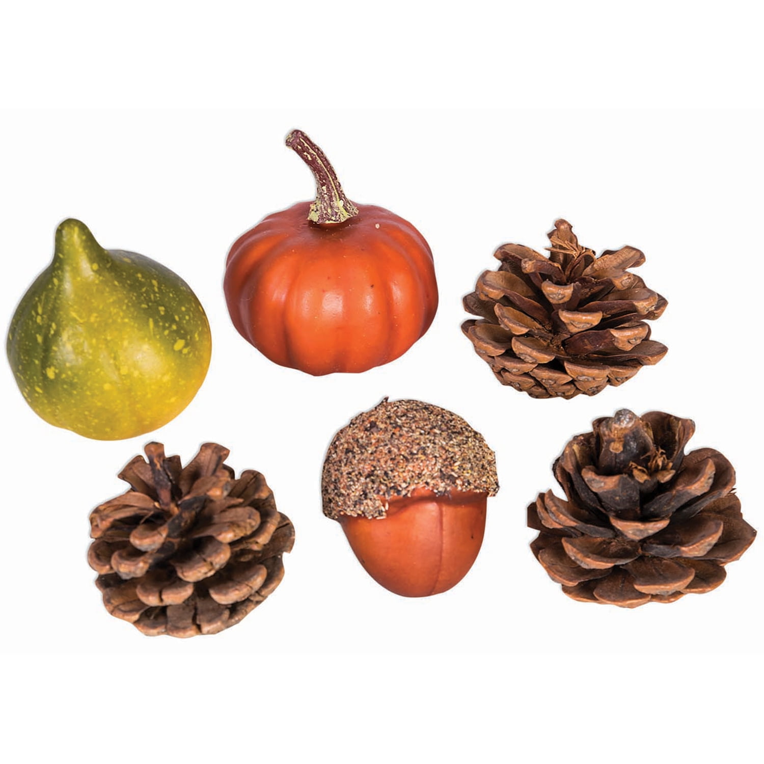 Types Of Acorns