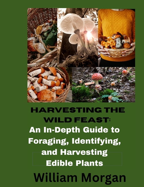 Forger's Guide 1.0 Harvesting the Wild Feast: An In-Dept Guide To ...