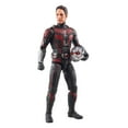 Hasbro Marvel Legends Series Ant-Man 6” Action Figures Toy - Walmart.com