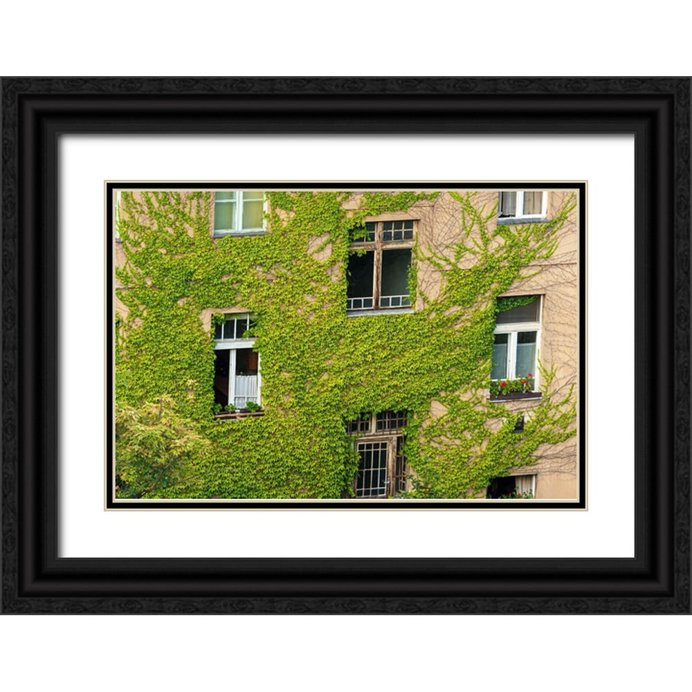 Haseltine, Tom 14x11 Black Ornate Wood Framed with Double Matting ...