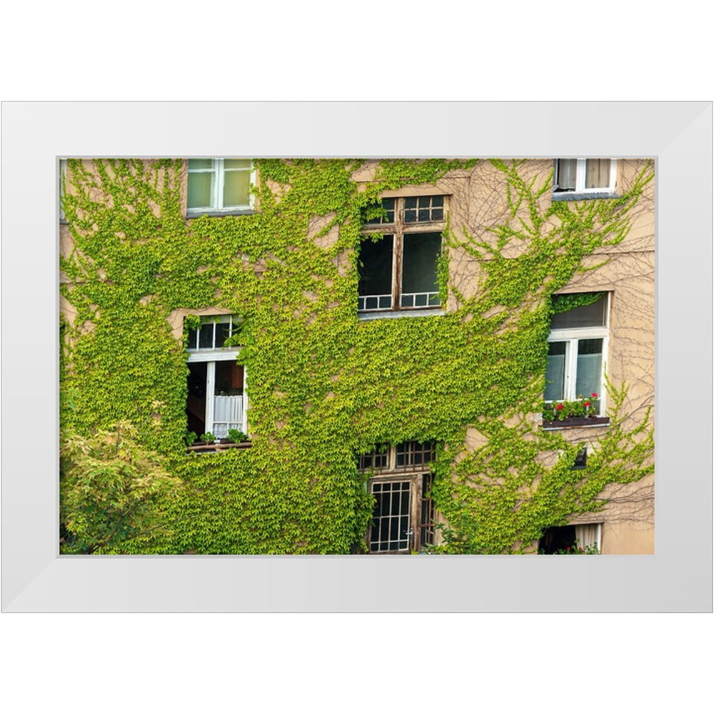 Haseltine, Tom 32x23 White Modern Wood Framed Museum Art Print Titled ...