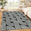 HR Plush Black & White Wave-Patterned Shag Rug, 1-Inch-Thick Soft High ...
