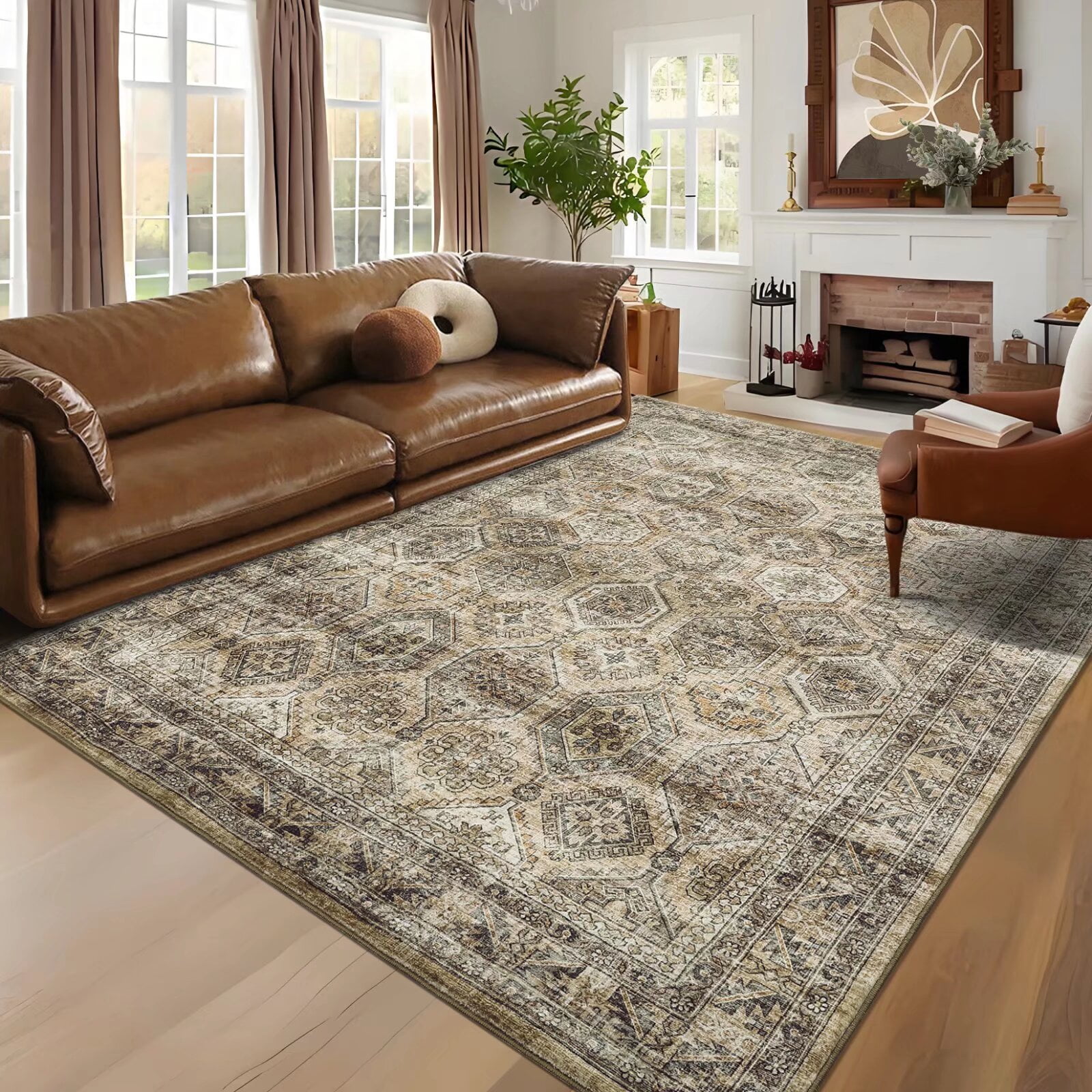 Hasoo Indoor Washable Area Rug 8' x 10' Geometric Rugs for Living Room ...