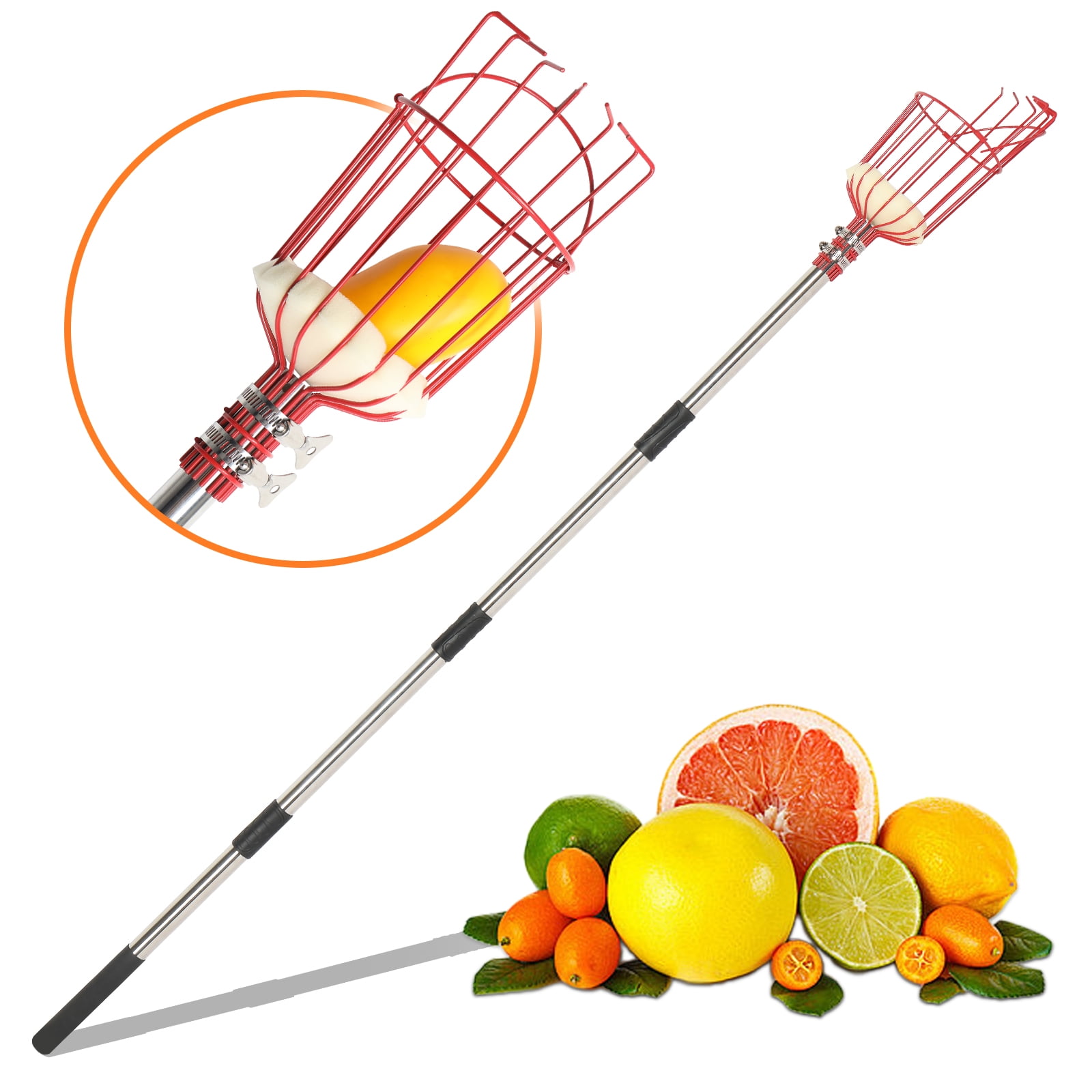 Hassch 13FT Fruit Picker Tool, 35-146 inch Telescoping Fruit Picker ...