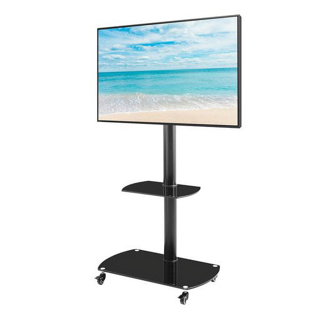 Hassch 2 Tier Mobile TV Stand With Lockable Wheels, Black Metal Shelf ...
