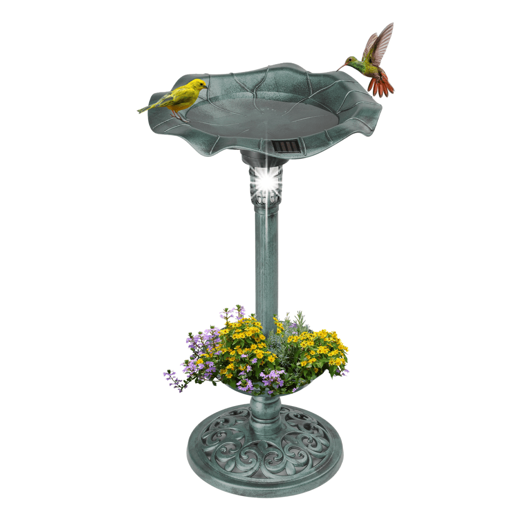 Hassch Solar Lighted Bird Bath for Outdoor, Pedestal Bird Bath with ...