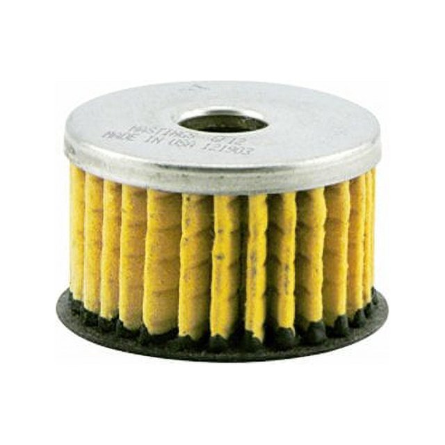 Hastings GF12 Fuel Filter - Walmart.com