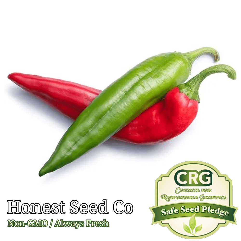Big Jim's Hatch Chili's from New Mexico | Non-GMO, Hot Pepper Plant ...