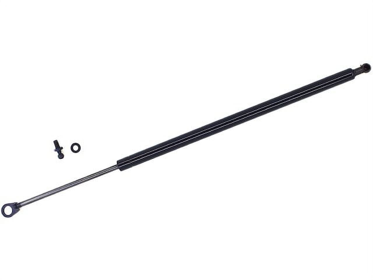 Hatch Strut - Compatible with 1989 - 1990 Nissan 240SX Hatchback 2-Door ...
