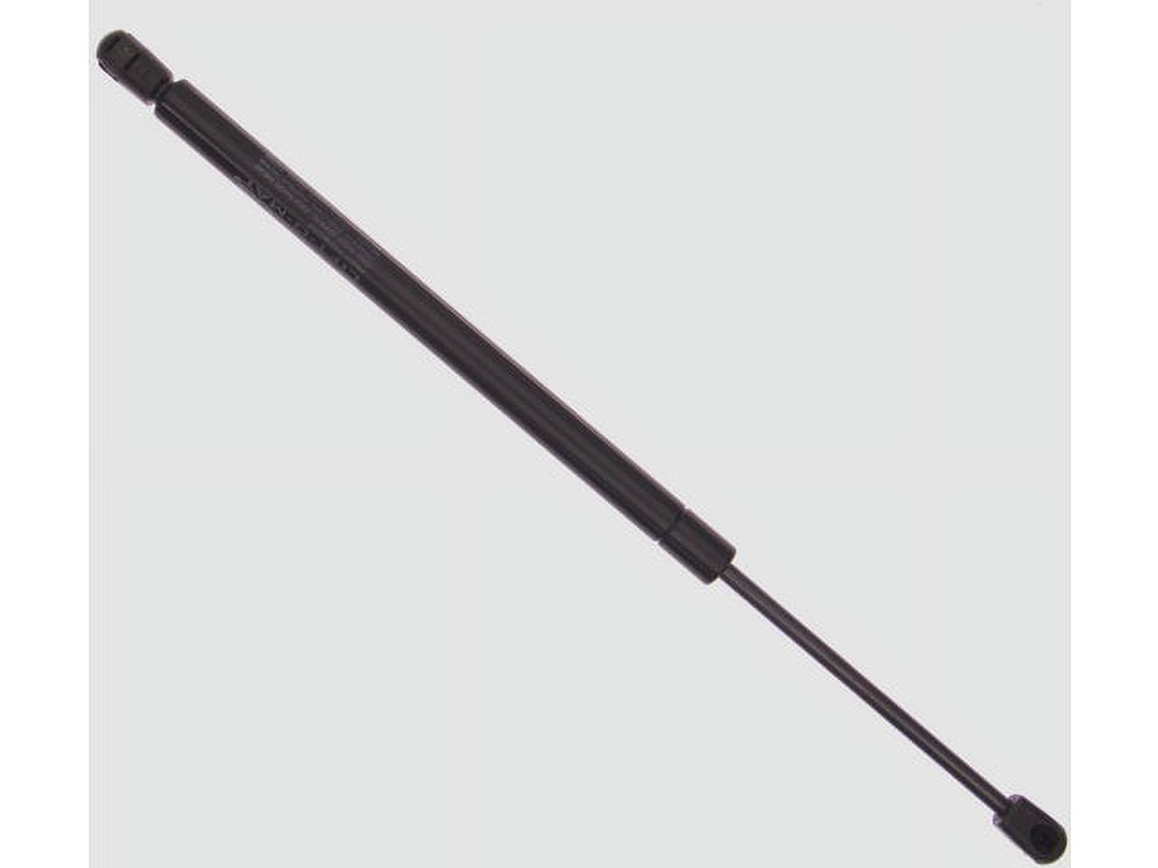 Hatch Strut - Compatible with 2000 - 2007 Ford Focus Hatchback 2001 ...