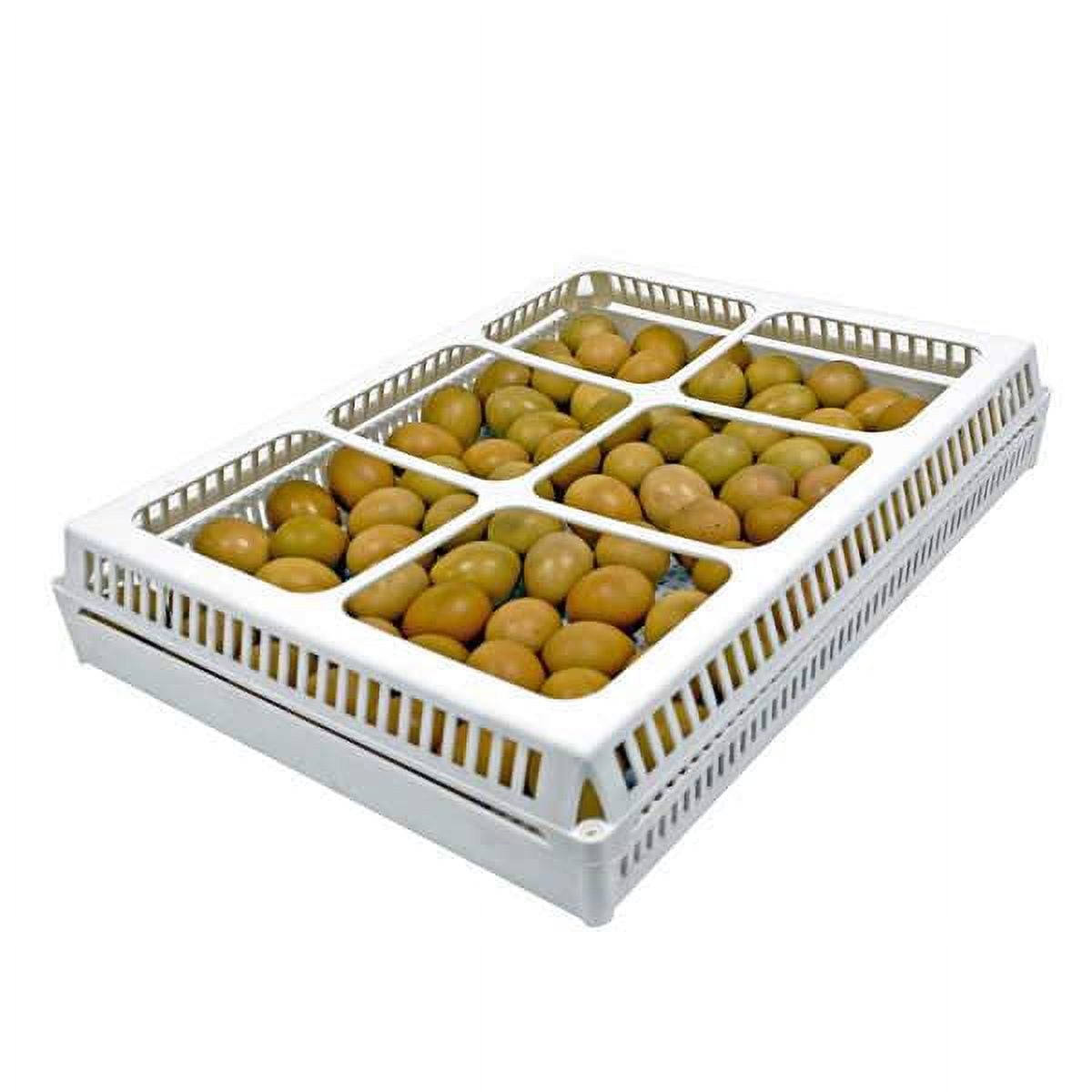 Hatching Basket Cover, Fits FLX80-ST Egg Setter Tray, Hatch Out Chicken ...