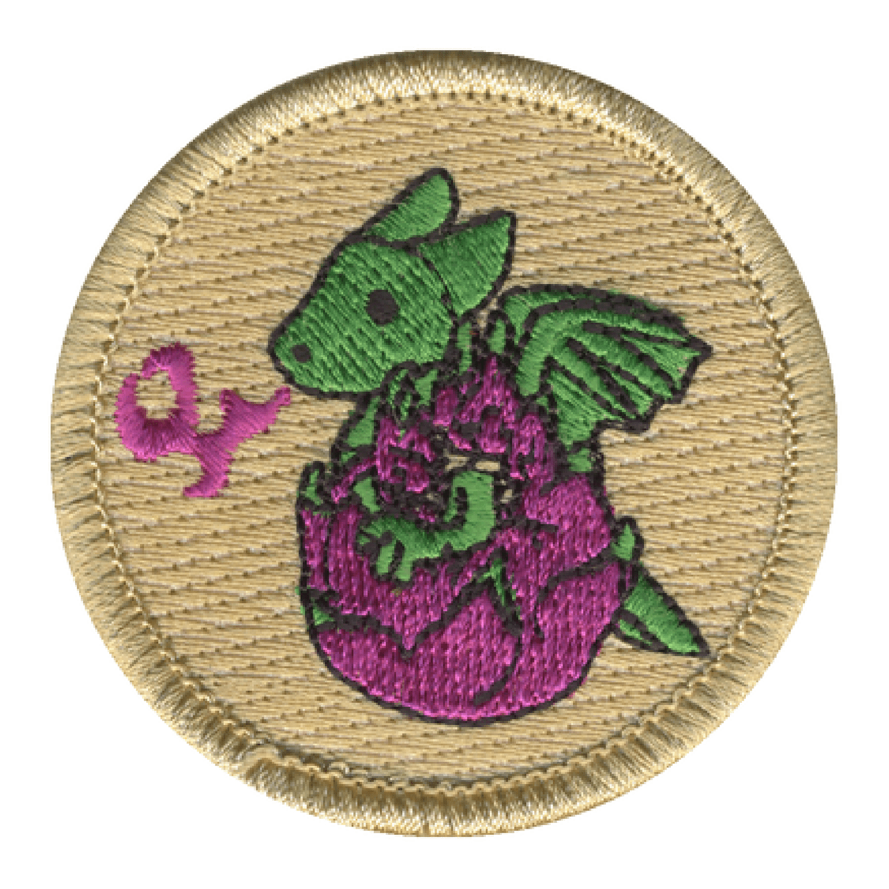 Hatching Dragon Patrol Patch (Sew-on) - ClassB - Walmart.com