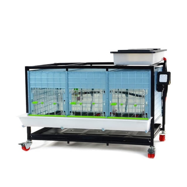 Hatching Time Chick Brooder - 1 Layer H: 15" (Power-Washable, Durable ...