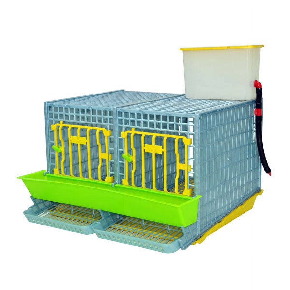 Hatching Time Partridge Cage - 2 Section (Power-Washable, Durable, ABS ...