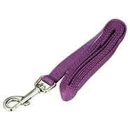 Walmart's Invisible Dog Leash for Pet Walking - Gag Gift & Prank ...