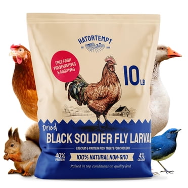 ADM Alliance Nutrition 80181AAA14 50 lbs. Chicken Scratch Grains ...