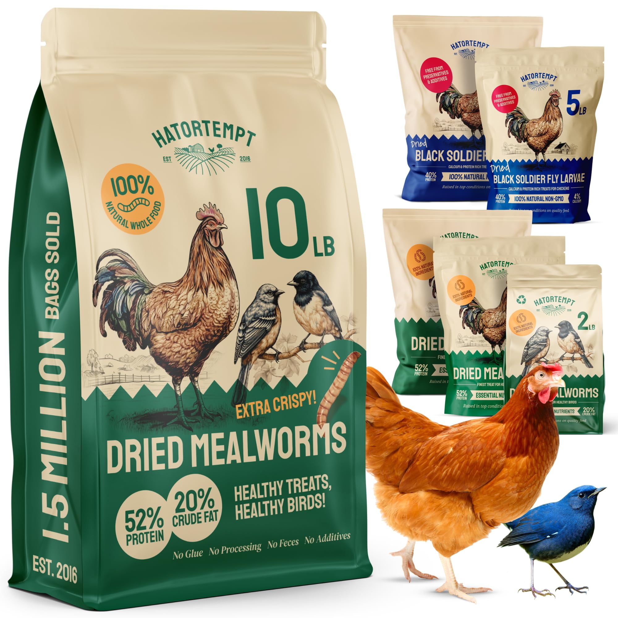 Hatortempt Bulk Dried Mealworms, 10 Lbs NSD3 - Non-GMO Mealworms for ...