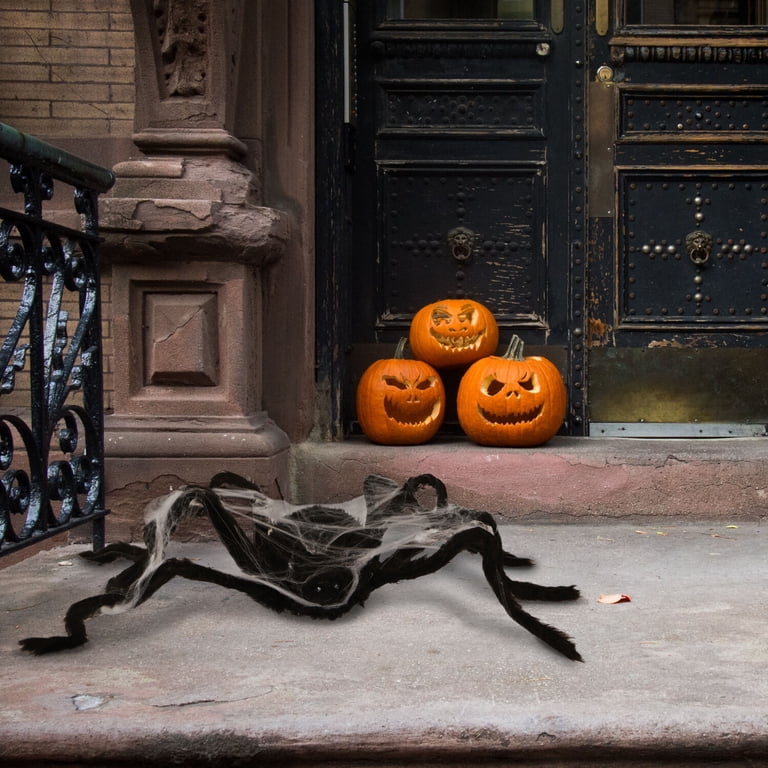 Halloween Spooky House Spider