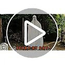 Haunted Hill Farm Life-Size Scary Demon Bride Halloween Animatronic ...