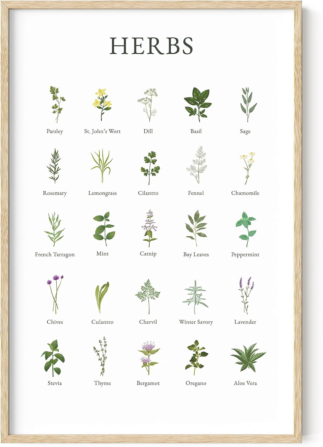 Haus and Hues Herb Pictures for Kitchen Wall Art - Kitchen Herbs Wall ...