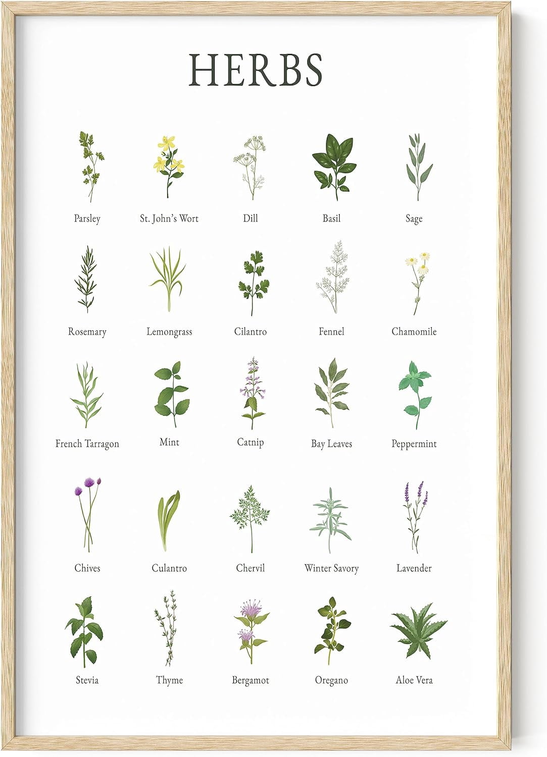 Haus and Hues Herb Pictures for Kitchen Wall Art - Kitchen Herbs Wall ...