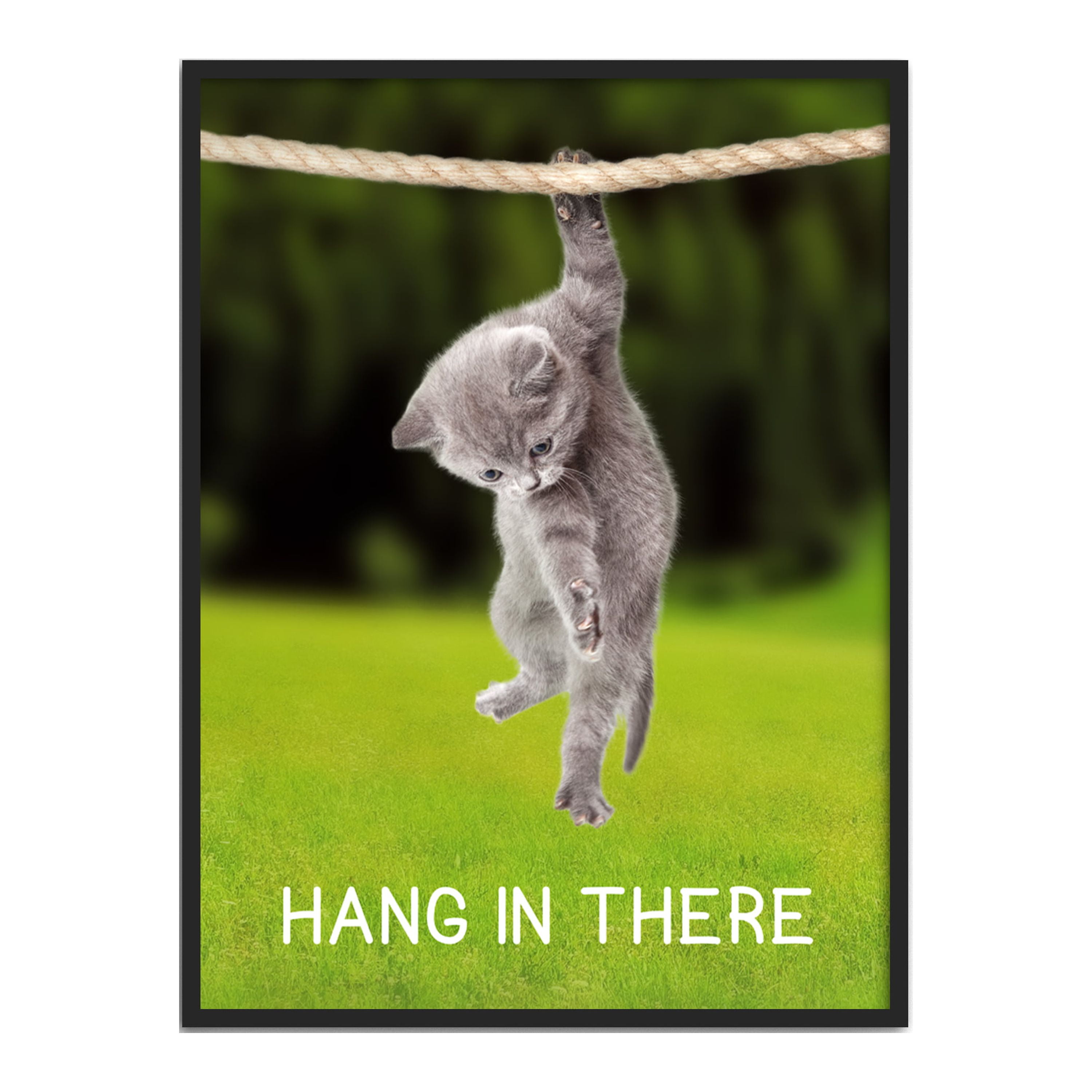 Haus and Hues Hang in There Cat Poster, 12" x 16", High-Quality Paper ...