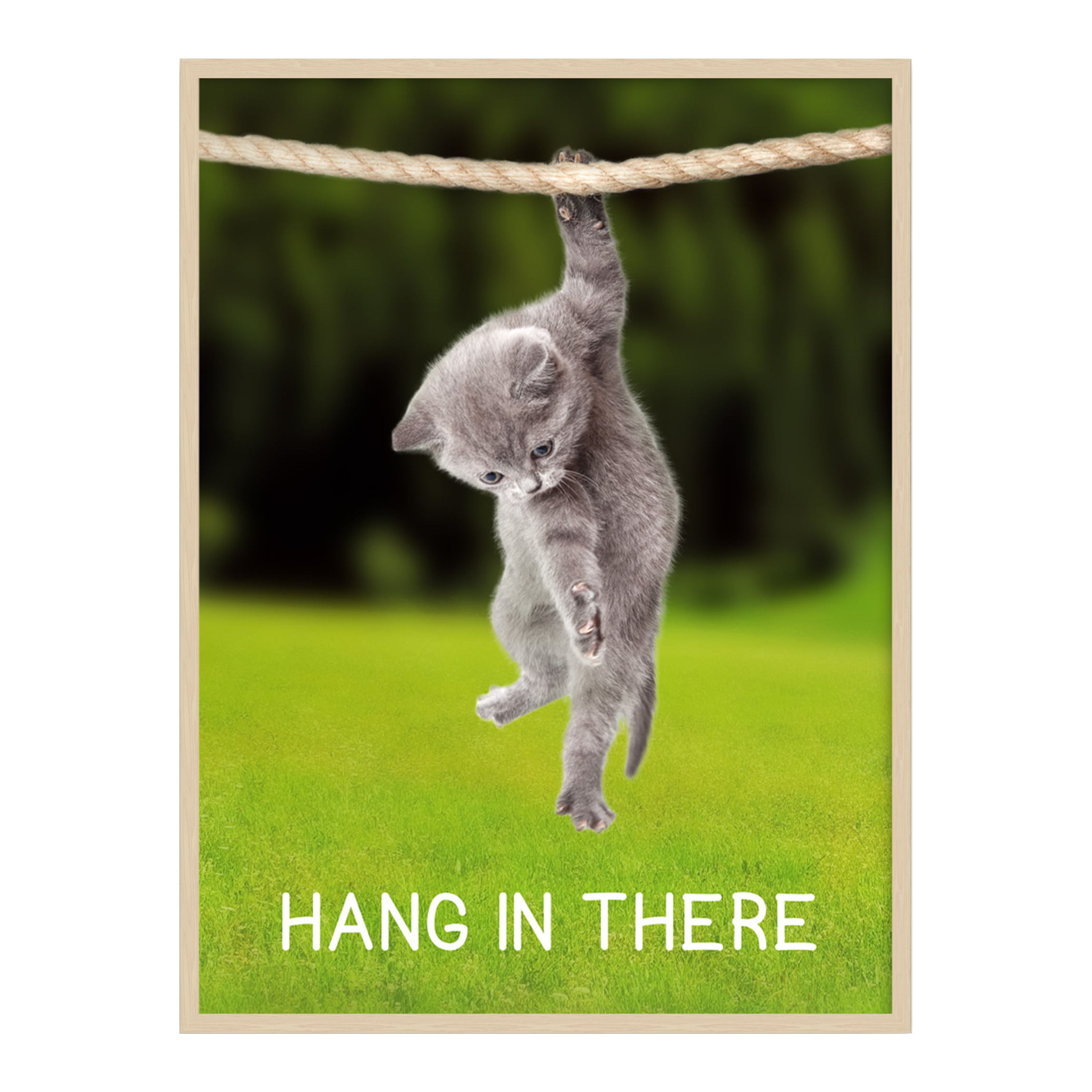 Haus and Hues Hang in There Cat Poster - Funny Cat Poster Cat Poster ...