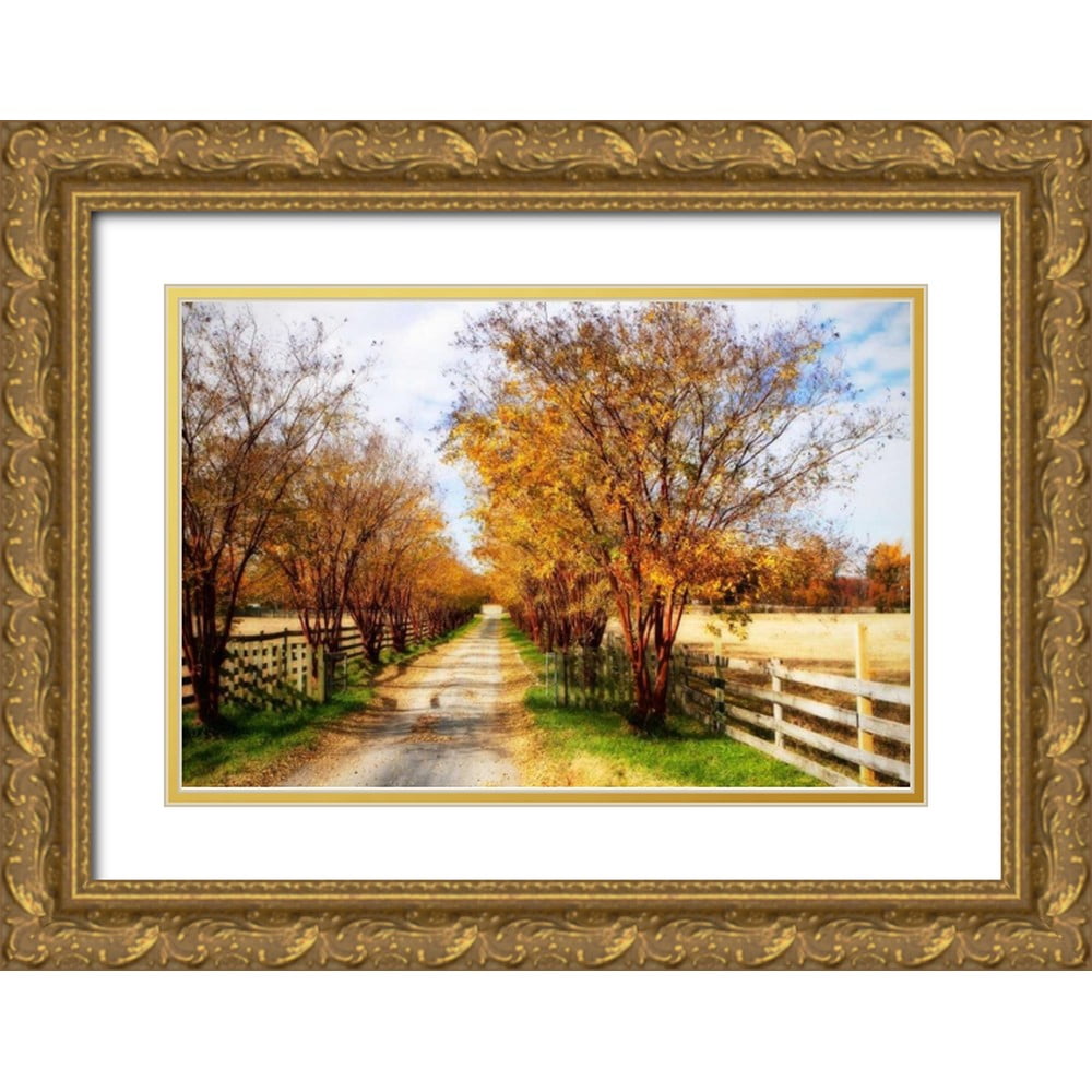 Hausenflock, Alan 14x11 Gold Ornate Wood Framed with Double Matting ...