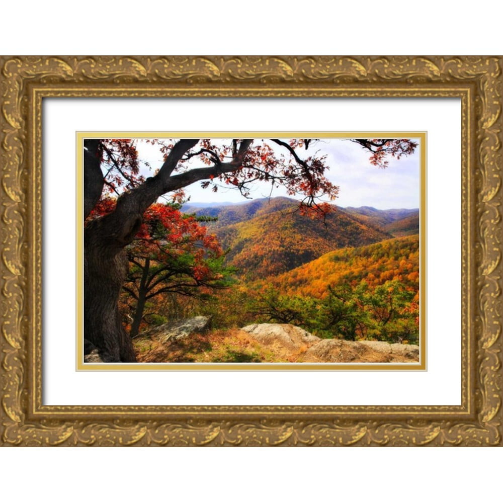 Hausenflock, Alan 14x11 Gold Ornate Wood Framed with Double Matting ...